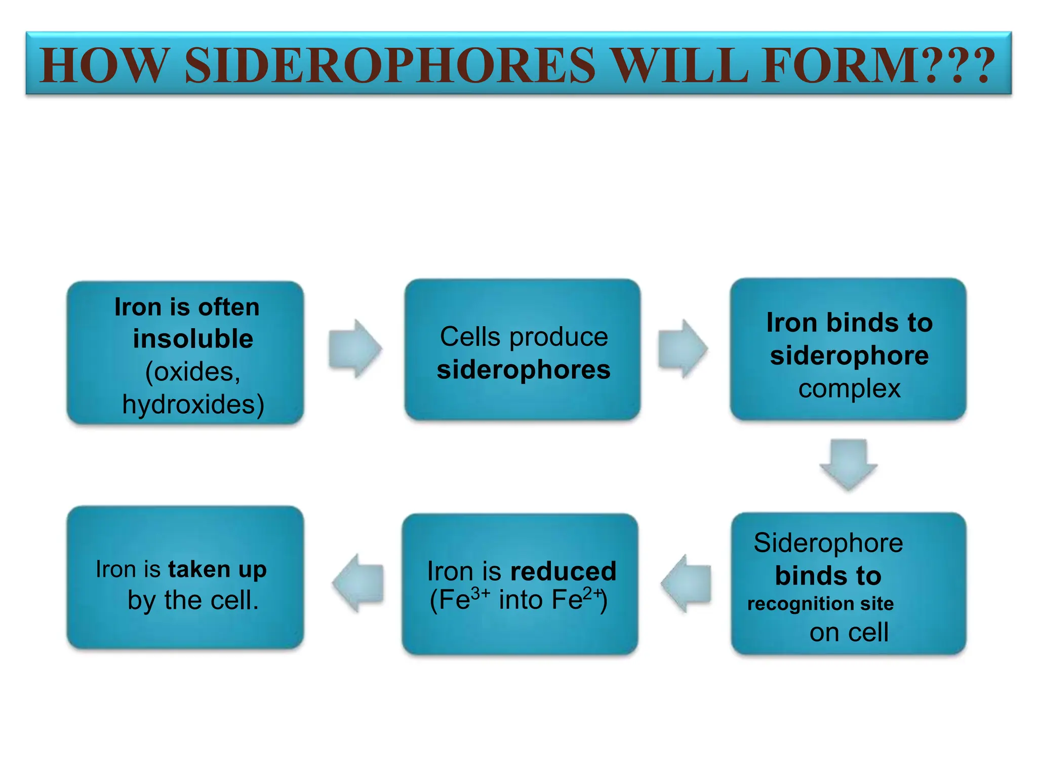 Siderophores properties, mechanism and preparation | PPTX