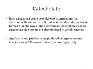 Siderophores properties, mechanism and preparation | PPTX