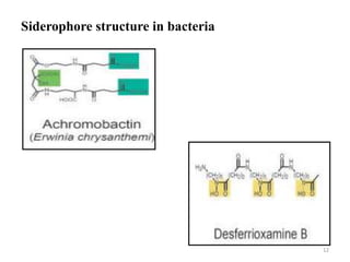Siderophores properties, mechanism and preparation | PPTX