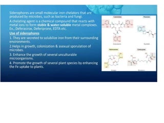 Siderophores properties, mechanism and preparation | PPTX