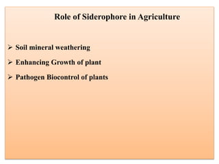 Siderophores properties, mechanism and preparation | PPTX