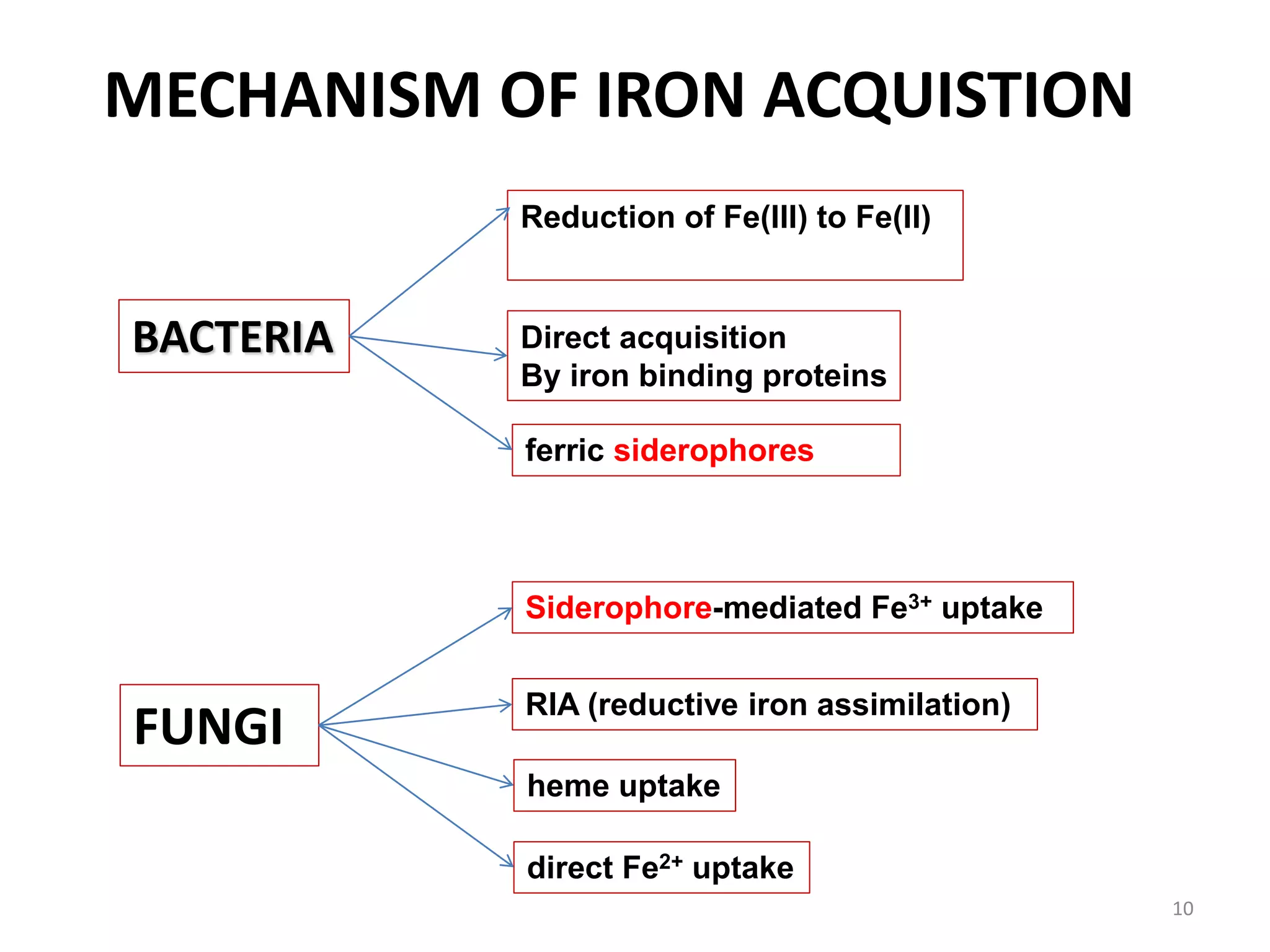 Siderophores ppt | PPTX