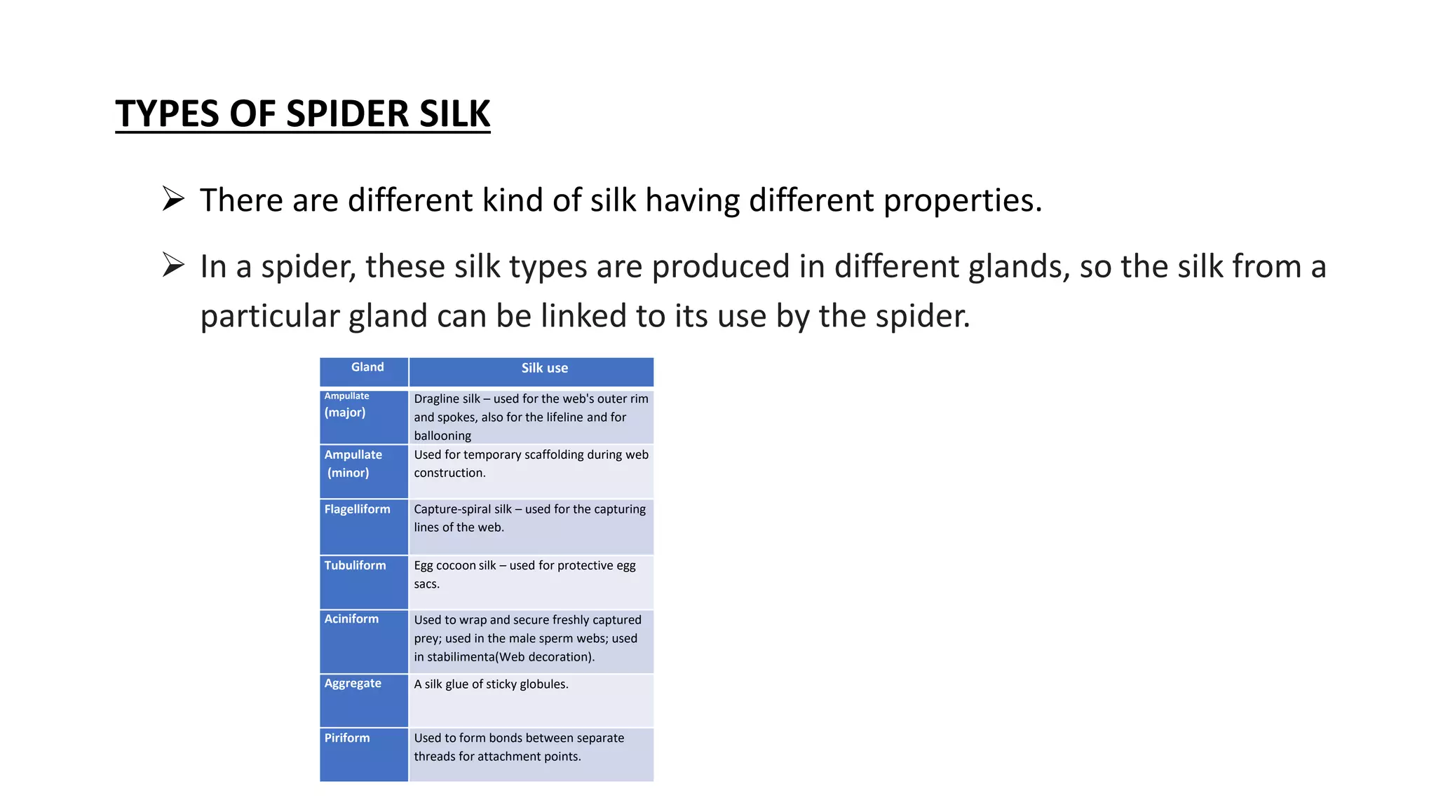 Spider silk ppt | PPTX