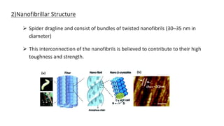 Spider silk ppt | PPTX