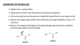 Spider silk ppt | PPTX