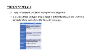 Spider silk ppt | PPTX