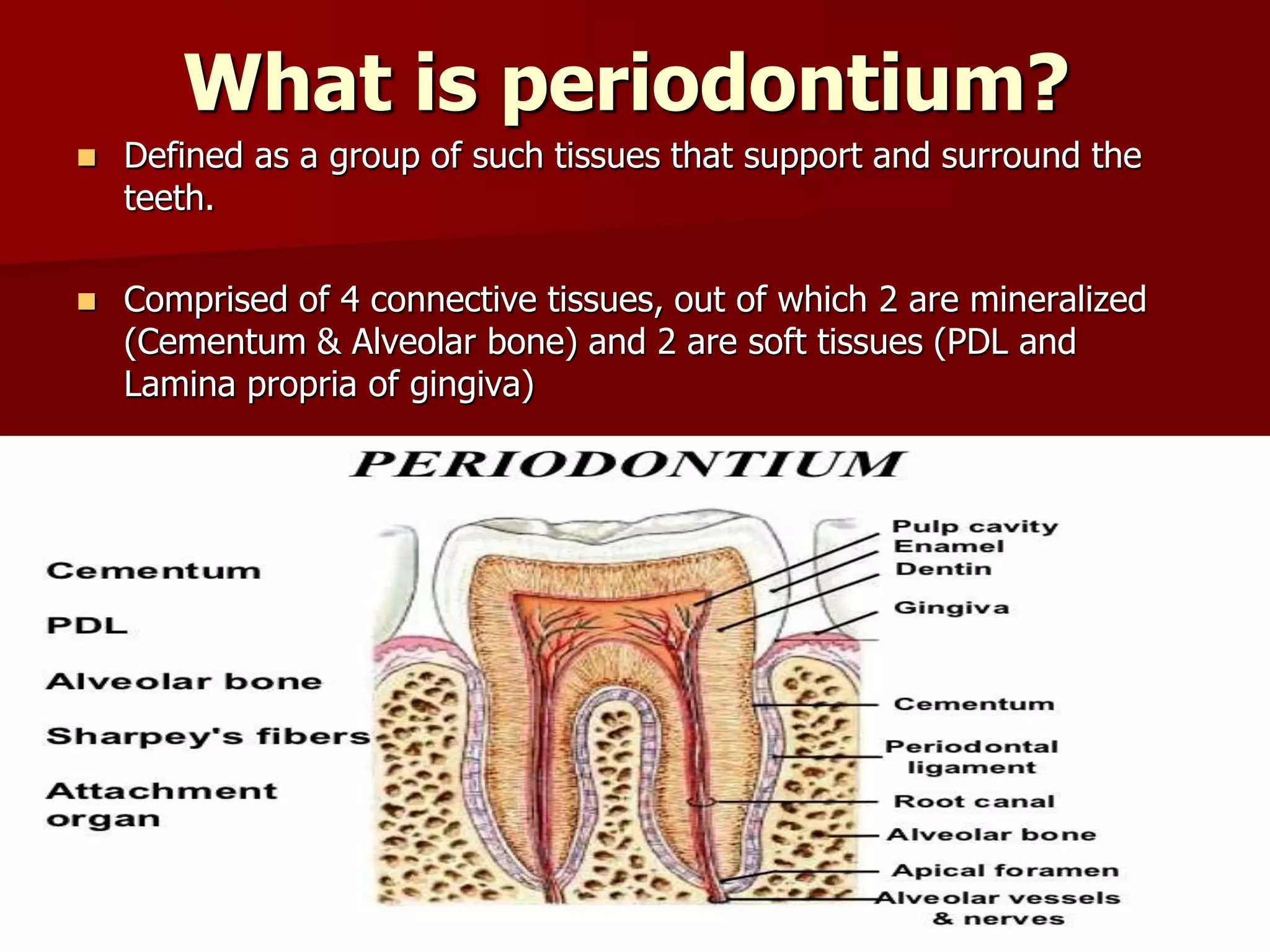 Diseases of periodontium by sidharth surana | PPT
