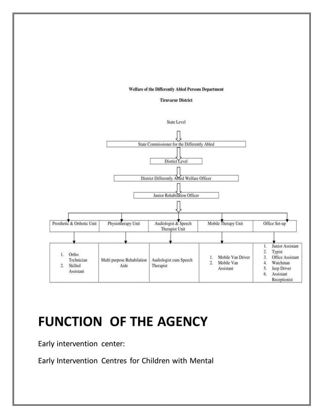 SOCIAL WORK VIVA REPORT | DOCX