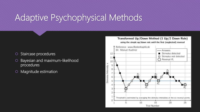 Psychophysics - Siddhartha | PPTX | Physics | Science