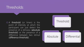Psychophysics - Siddhartha | PPTX