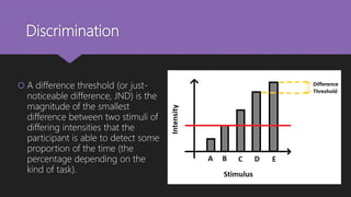 Psychophysics - Siddhartha | PPTX
