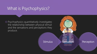 Psychophysics - Siddhartha | PPT