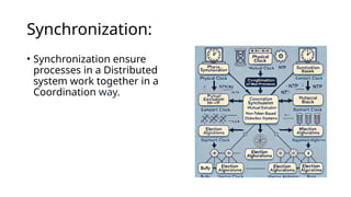 sidra_ayoub[1] .pptx