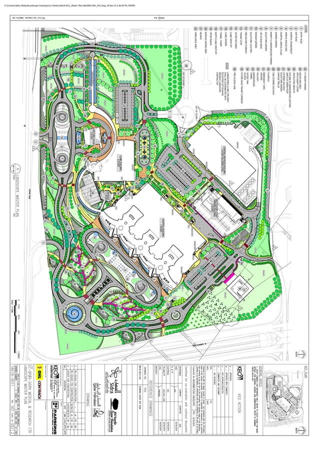 Healthcare Facility Master Plan Landscape | PDF