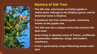 Rare and Nutrient Rich Sidr Honey- Wild Honey Hunters | PPT