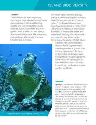 Sids biodiversity and_oceans_2017 | PDF