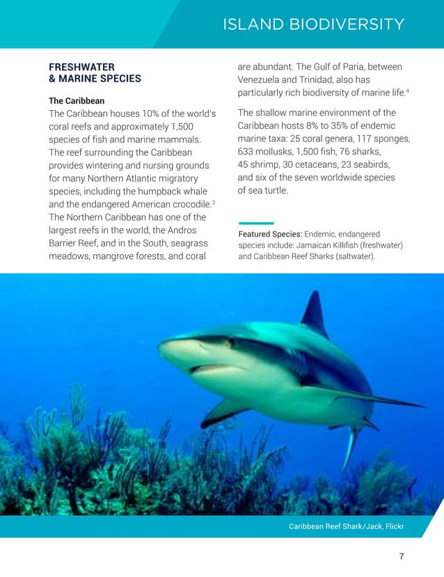Sids biodiversity and_oceans_2017 | PDF | Geography | Science