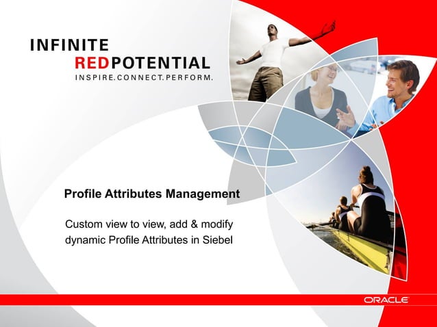 Siebe Profile Attribute Management Utility | PPT