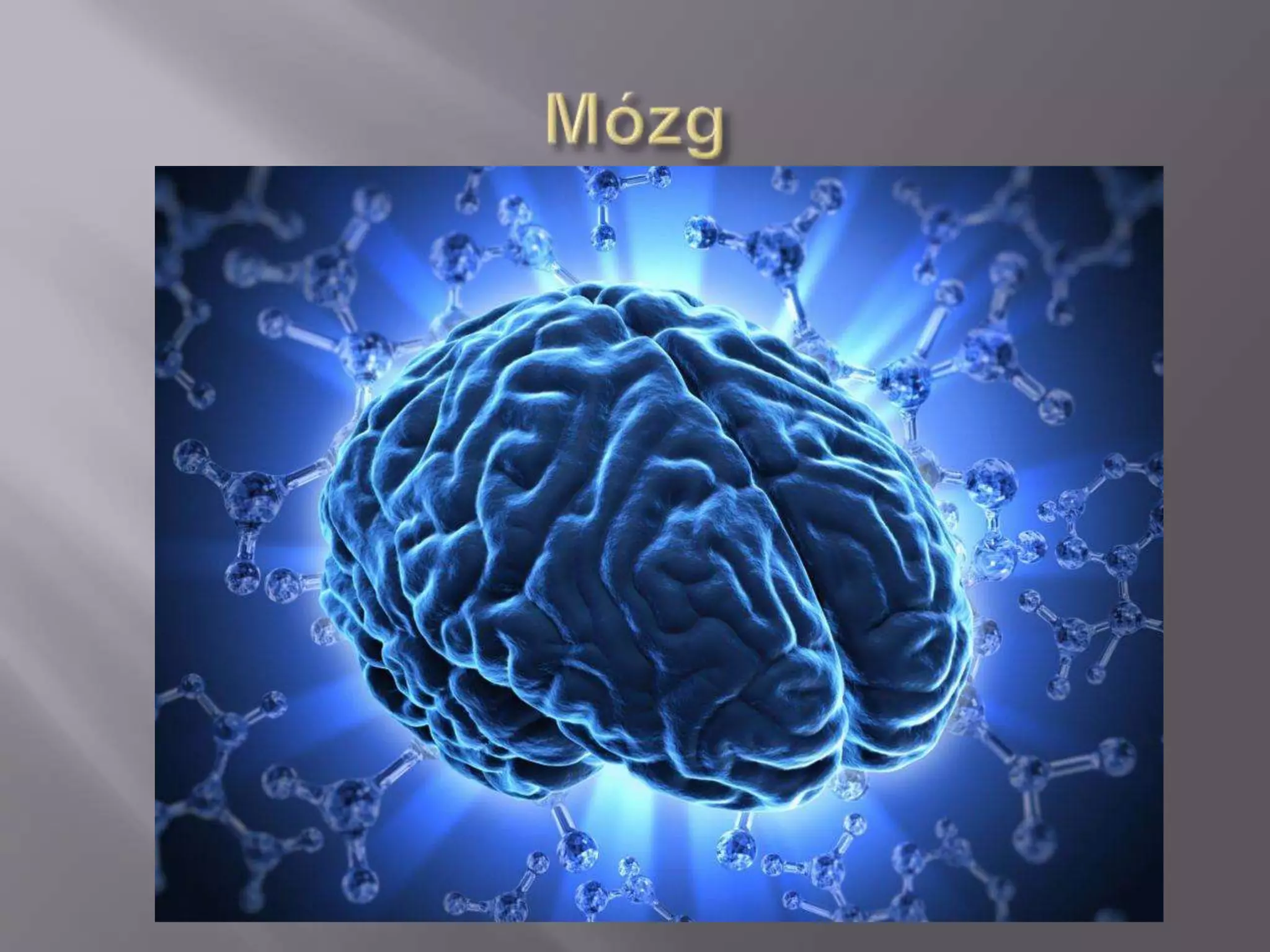 Sieci neuronowe prezentacja | PPT