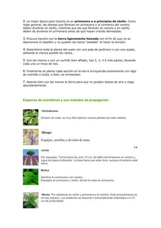 Siembra De Plantas Medecinales | DOC