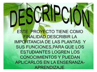 Siembra una planta | PPTX