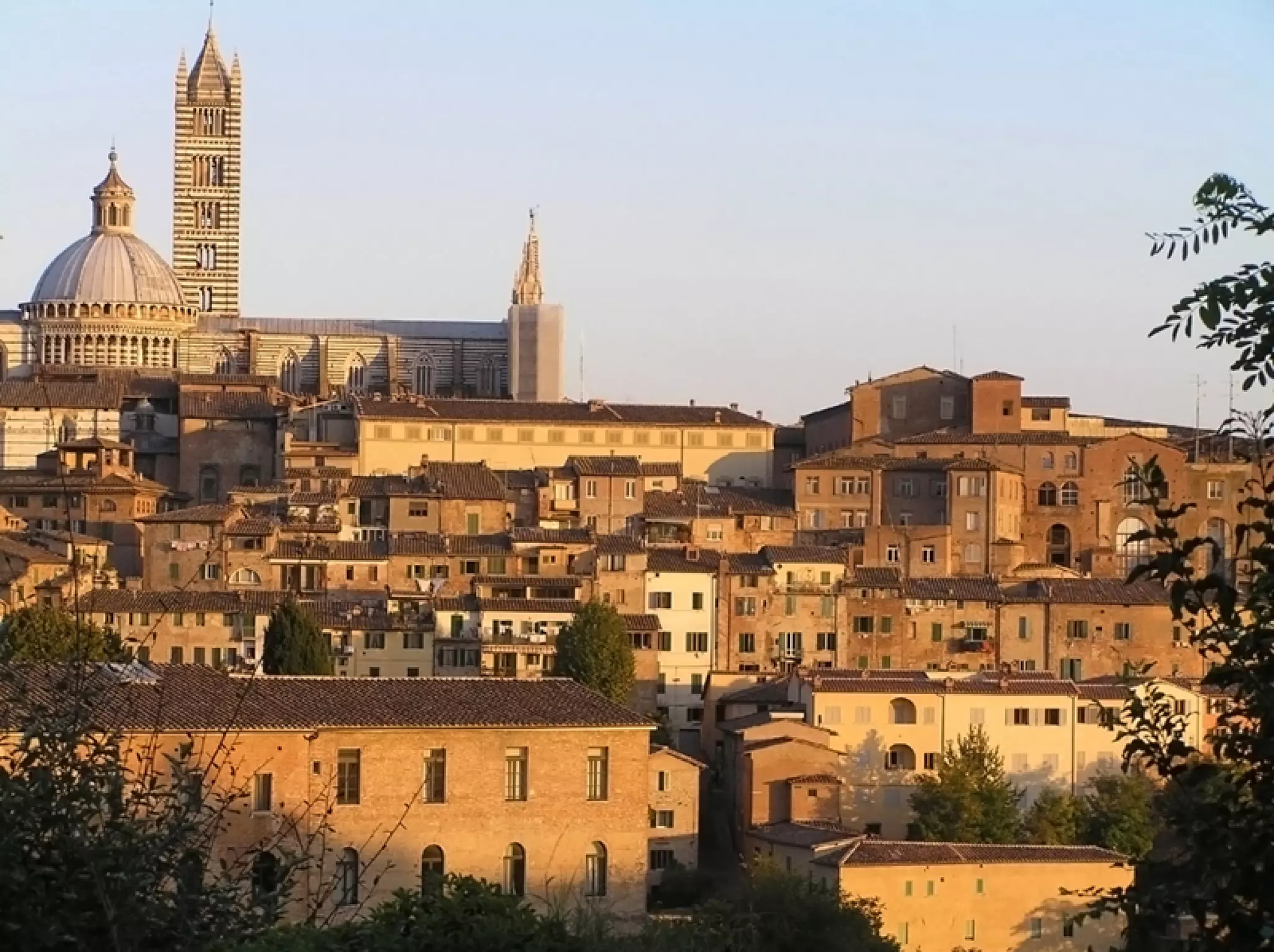 Siena | PDF