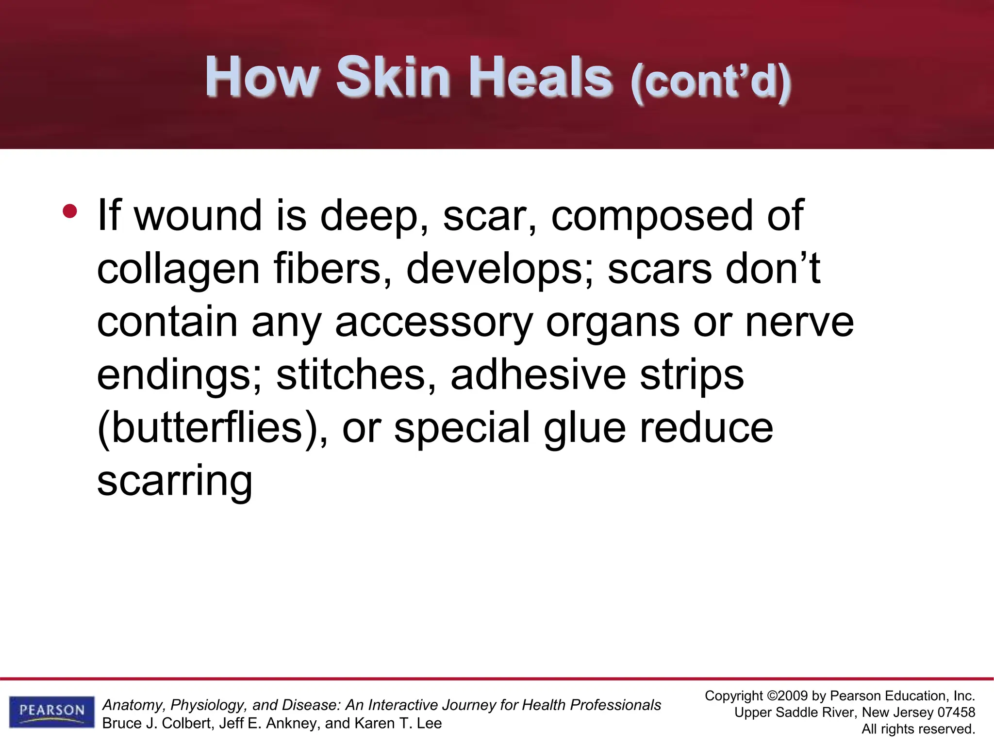 sience skin grade 6 lesson quarter 2.ppt