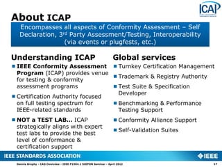 Overview of the IEEE, IEEE-SA & Corporate Programs | PDF