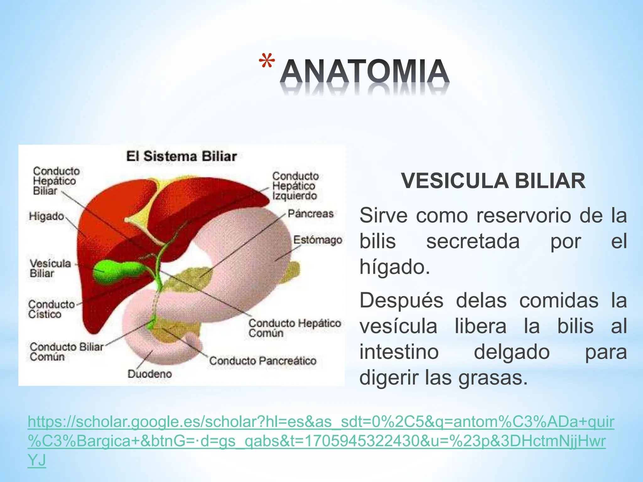 Patología de vía biliar y colico biliar .pptx