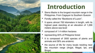 sierra madre POWERPOINT PRESENTATION..pptx