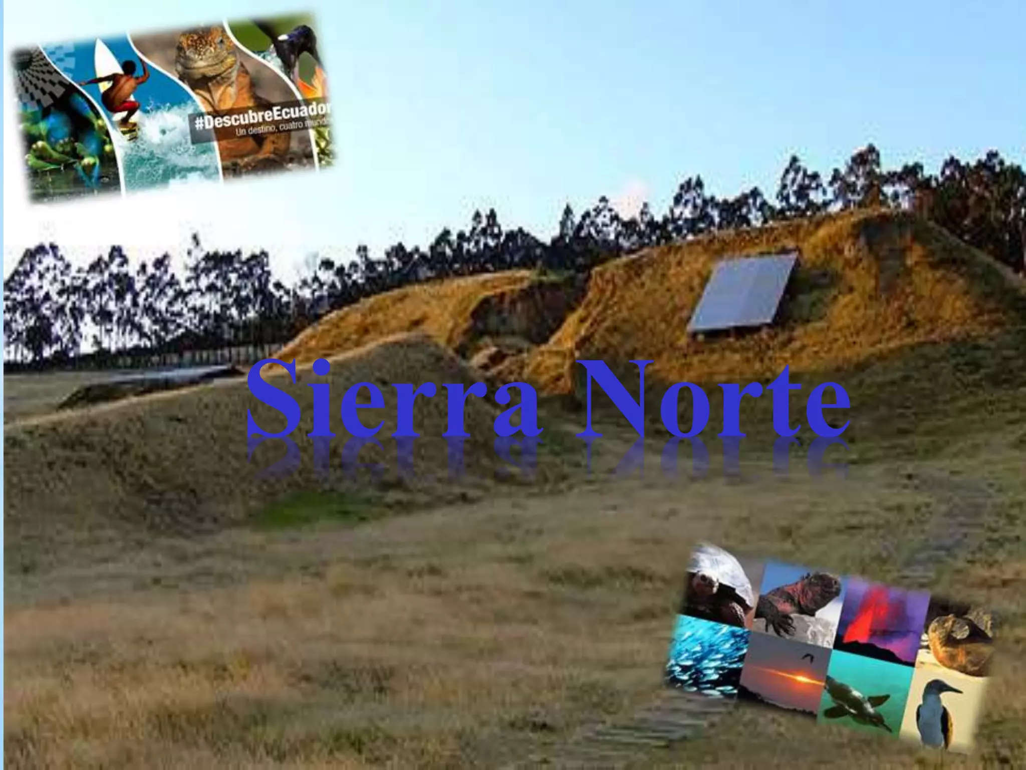 Sierra norte | PPTX