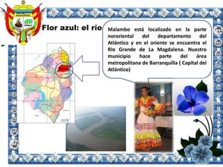 Siete flores para conocer Malambo | PPTX