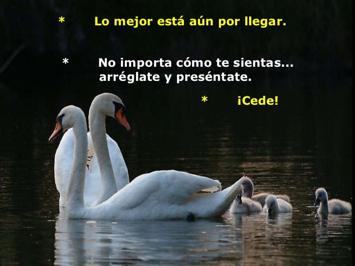 Siete Por Ciento siete-por-ciento