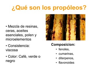 Uso de propóleos y sus extractos como aditivo en la alimentacion de ...