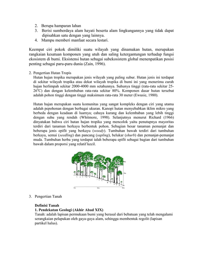 SIFAT DAN CIRI TANAH PADA KAWASAN HUTAN TROPIS DI DUNIA | PDF