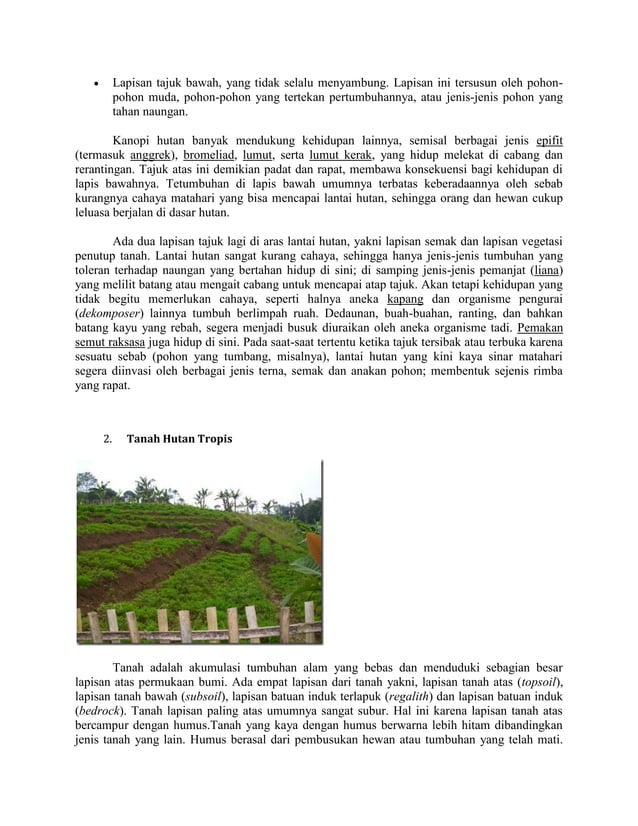 SIFAT DAN CIRI TANAH PADA KAWASAN HUTAN TROPIS DI DUNIA | PDF