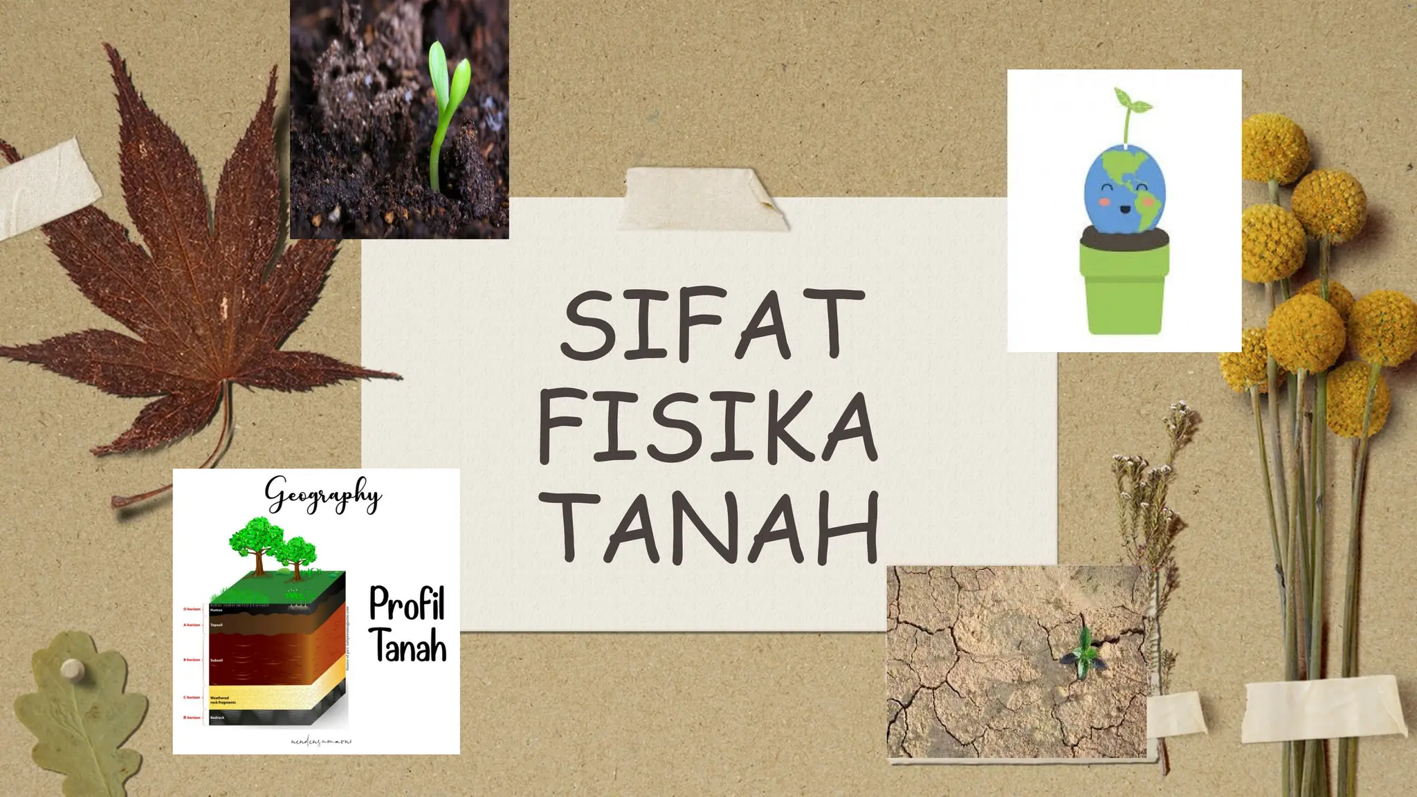Sifat fisika tanah (tekstur, struktur, warna, kepadatan, densitas ...