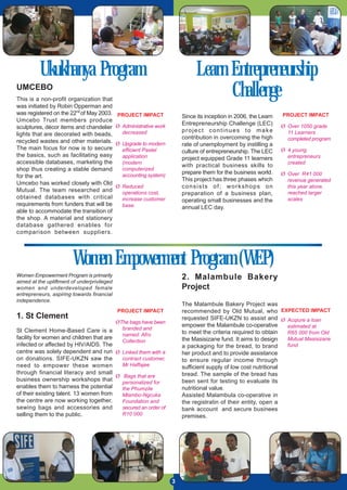 Sife Ukzn Annual Report | PDF | Business | Business and Finance