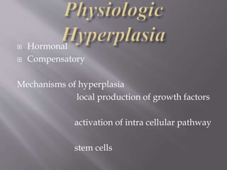 Cell adaptations | PPTX