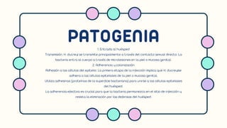 SIFILIS CHANCRO Y CHANCROIDE DIAGNOSTICO Y TRATAMIENTO | PDF