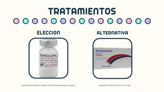 SIFILIS CHANCRO Y CHANCROIDE DIAGNOSTICO Y TRATAMIENTO | PDF