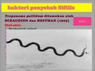 Sifilis presentation | PPT