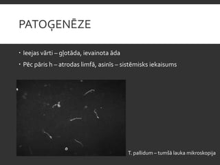 Sifiliss, 1. daļa | PPT