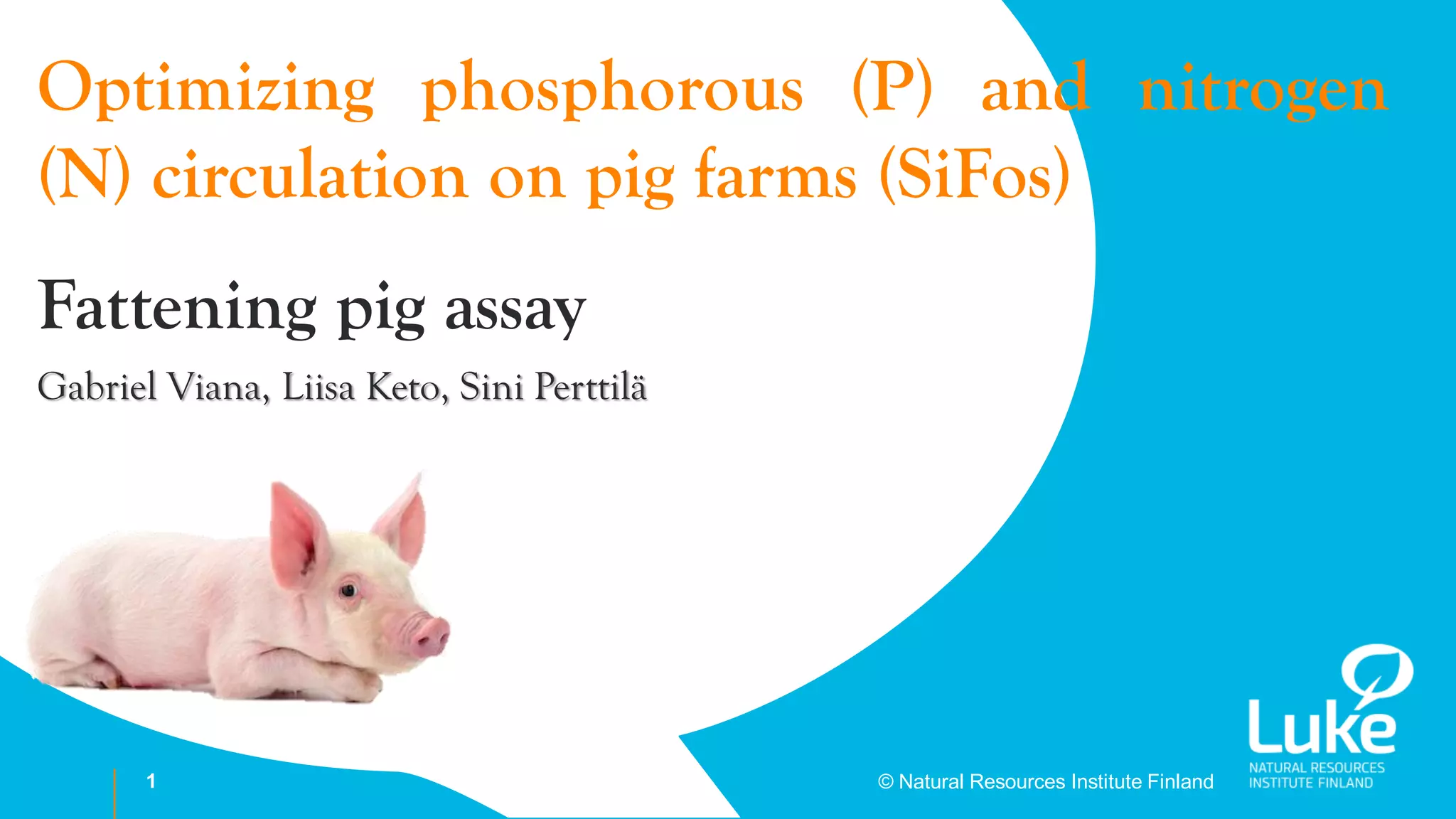 Optimizing phosphorous (P) and nitrogen (N) circulation on pig farms (SiFos). Fattening pig ...