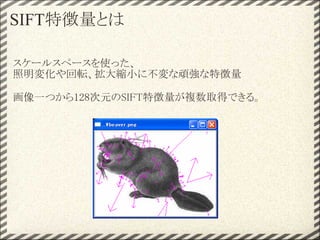 画像認識の初歩、SIFT,SURF特徴量 | PDF