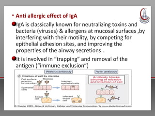 Sigad (selective IGAD) and asthma | PPT
