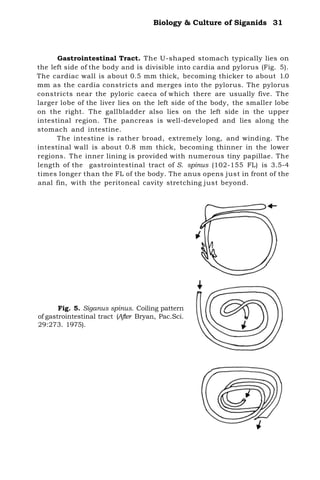 Siganids.pdf