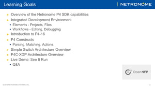 P4 Introduction | PDF