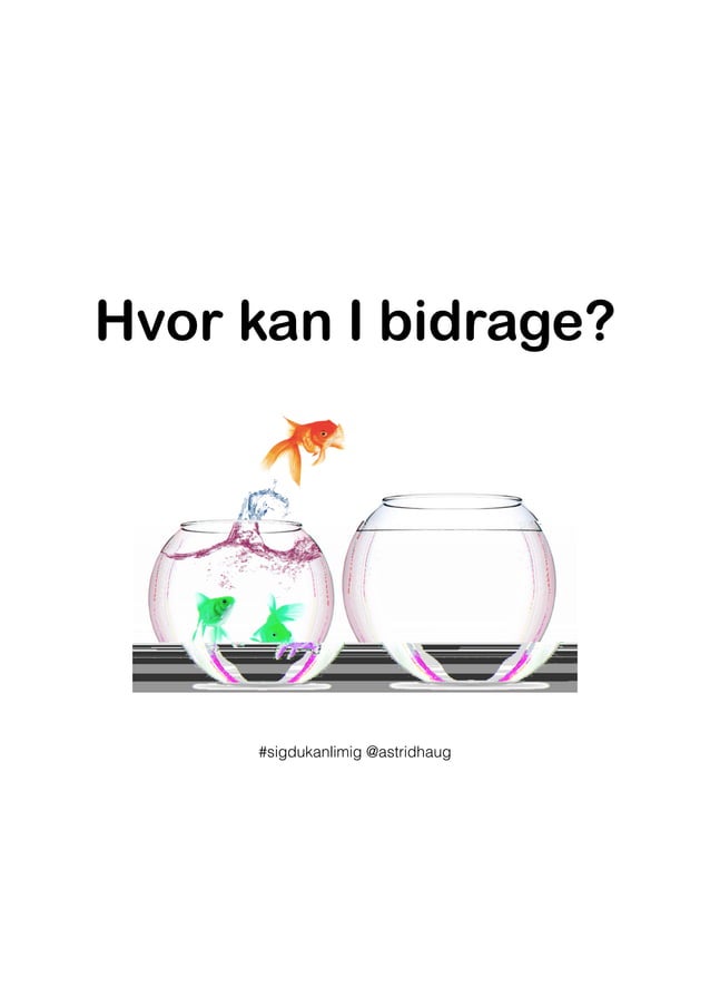 Bliv konge af de sociale medier - Astrid Haug | PDF