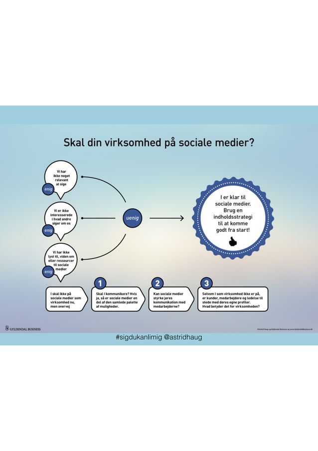 Bliv konge af de sociale medier - Astrid Haug | PDF